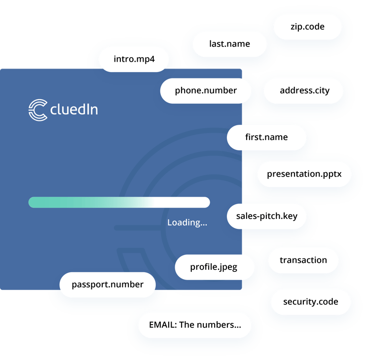 Build a single view of data | CluedIn Master Data Management