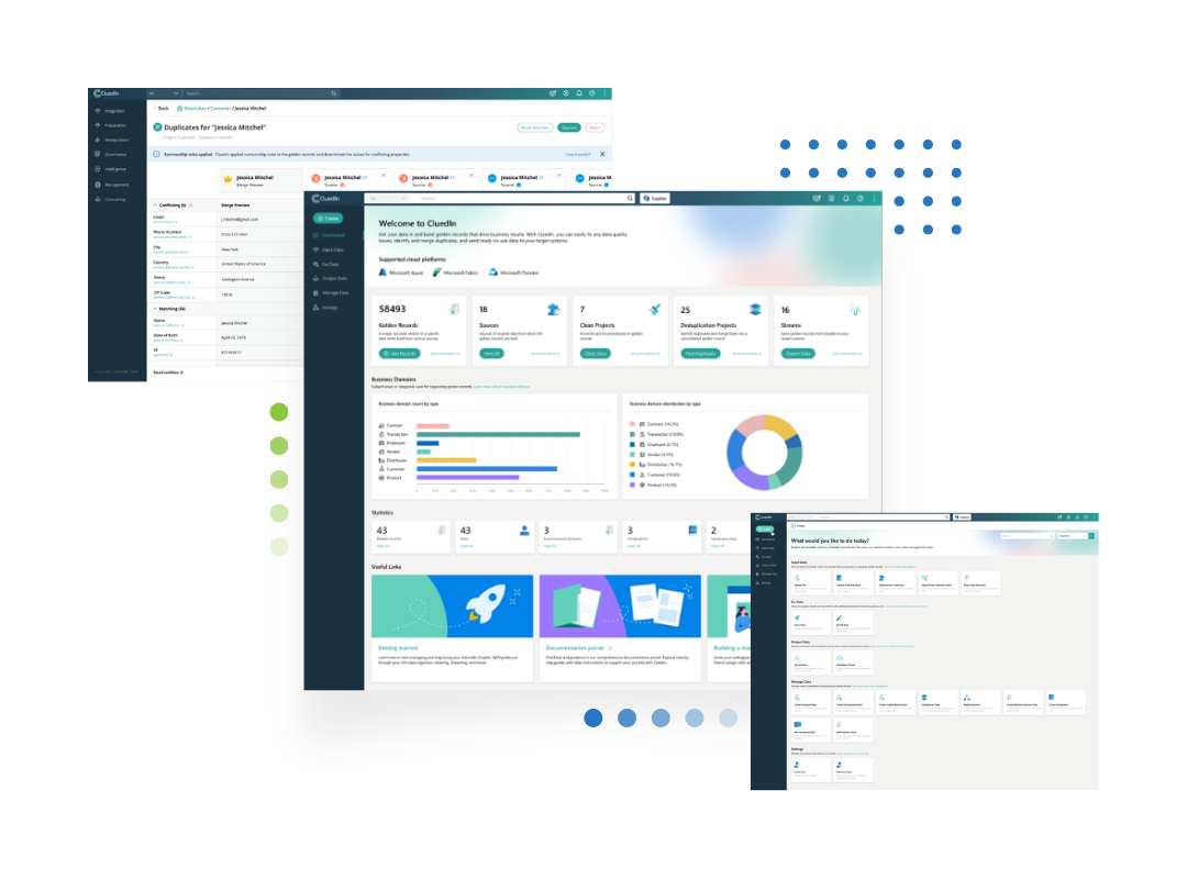 CluedIn - Microsoft Master Data Management